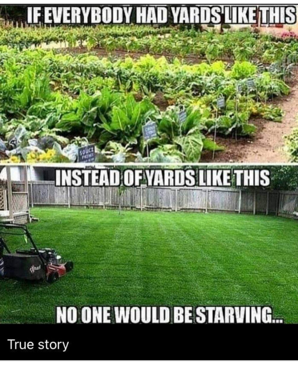 Real true facts | Life