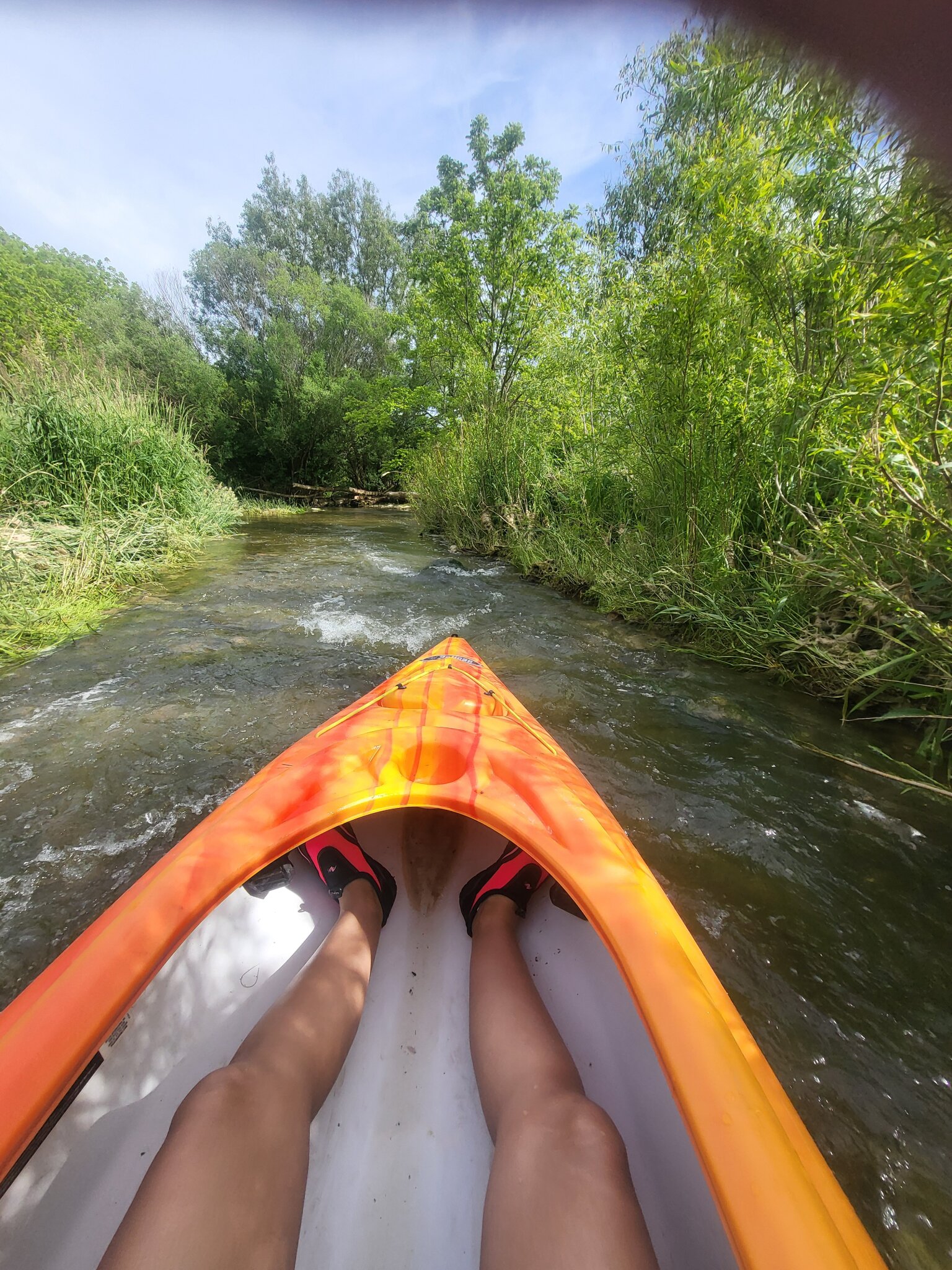 Potato is on the river paddling 🥔😮 It is difficult to keep balance with ...
