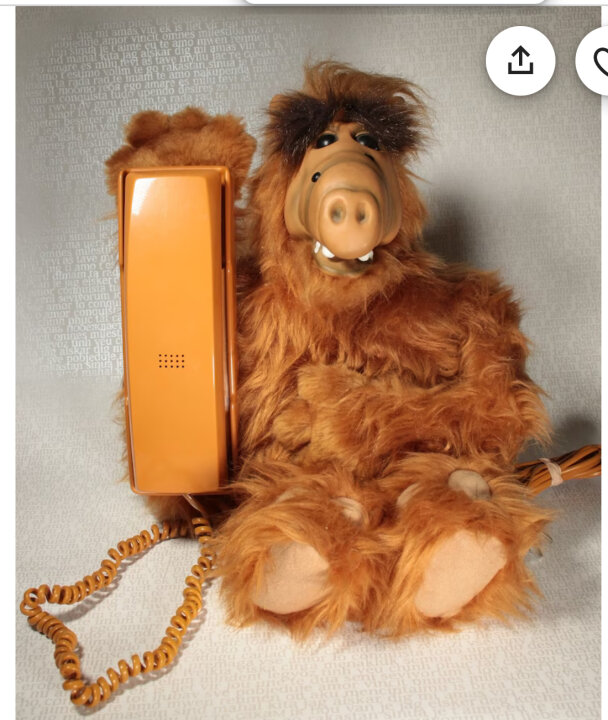 Do you remember the TV show - ALF | TV Shows & Series