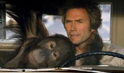 after watching this film back in the 70s i so wanted a pet ape....what ...