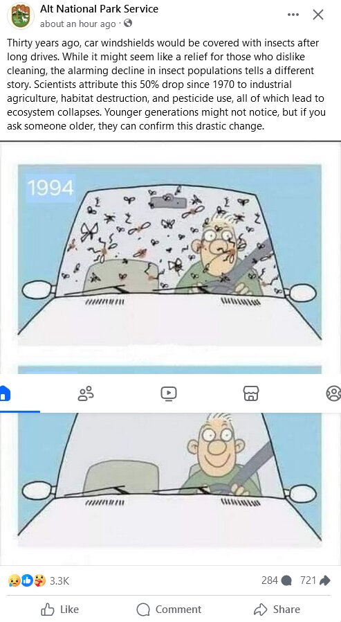 Bugs on windshields Anyone remember the good 'ol days? Bet you'll ...