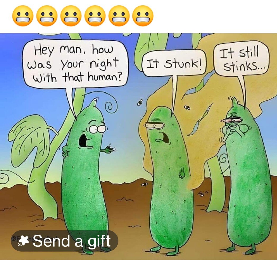 Stinky human | Funny