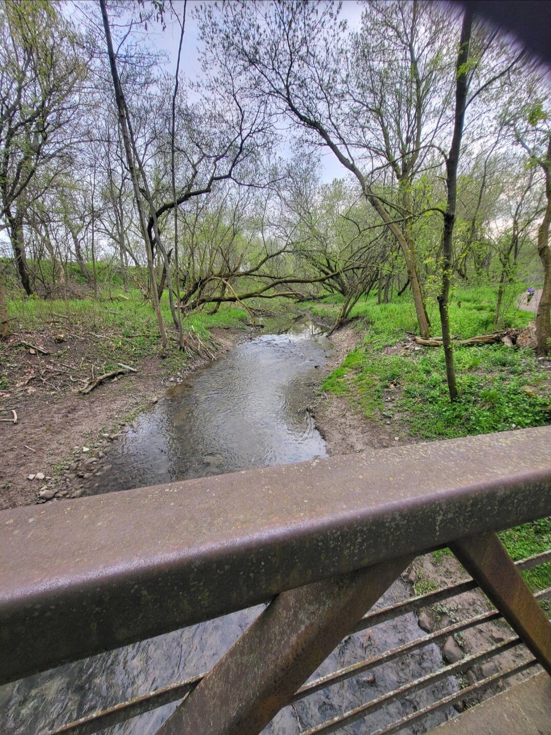 Nature is beautiful. Good potato morning. Potato loves rainy days so ...