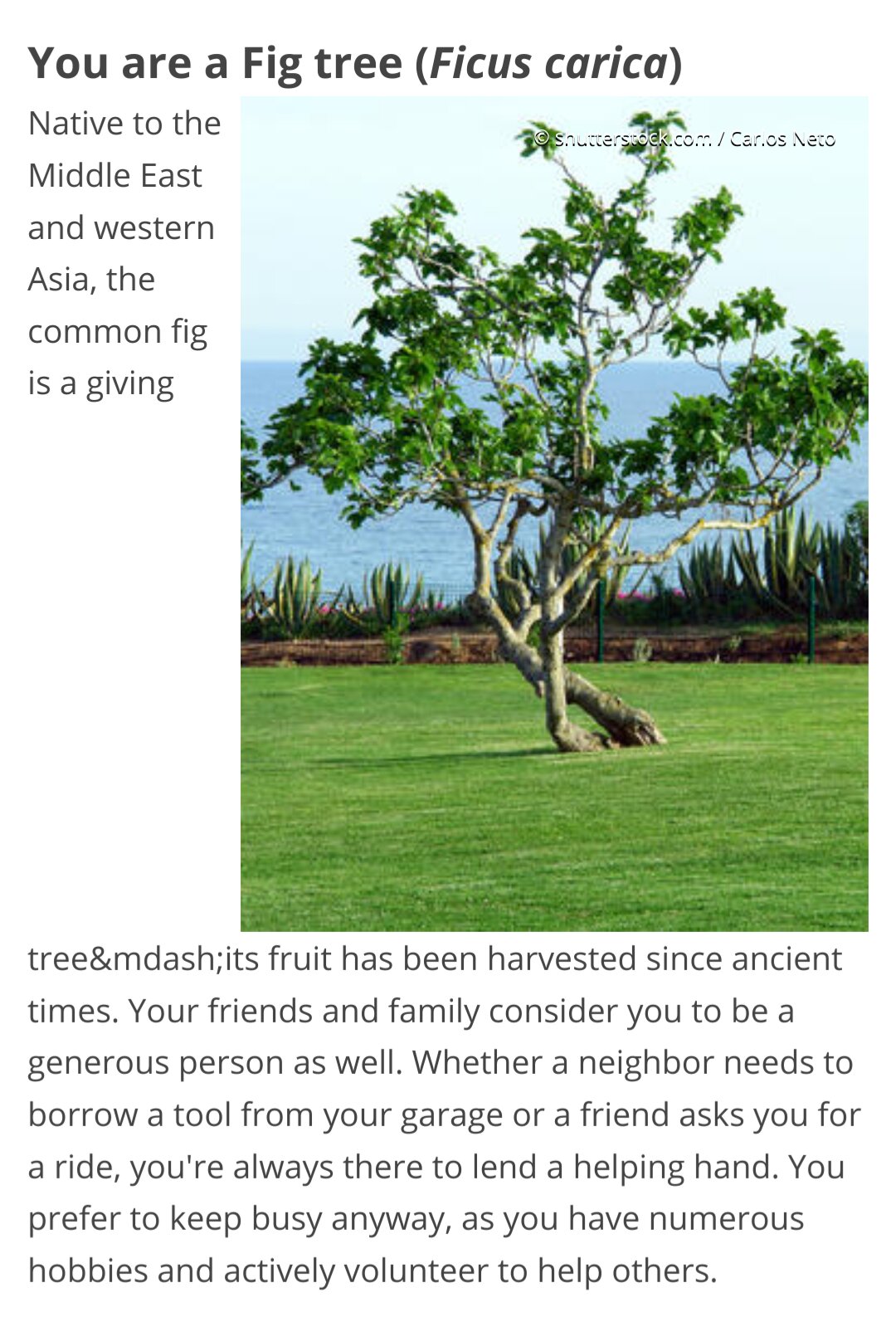 What Tree Are You? (Quiz) https://www.worldwildlife.org/pages/what-tree ...