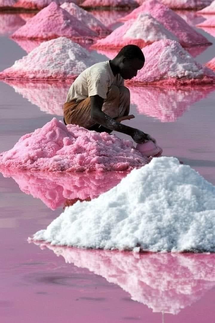 Lake Rosa (Nat Geo) Lake Rosa (locally known as Lake Retba) is located ...