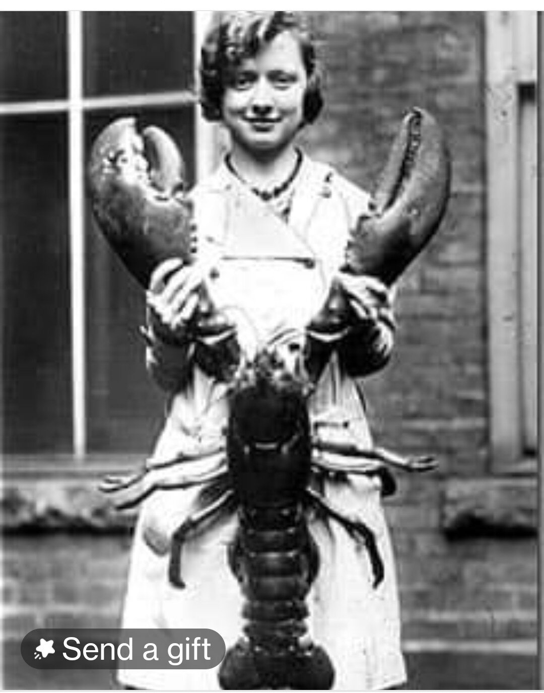 Lobster history During the American colonial period, lobsters were not ...