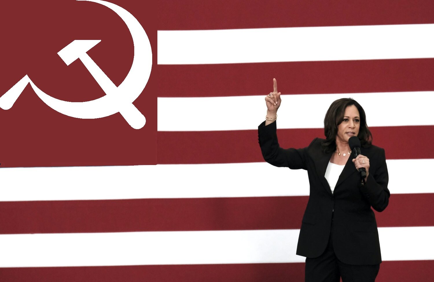Kamala Harris Unveils New Economic Platform 'We Must Seize The Means Of ...