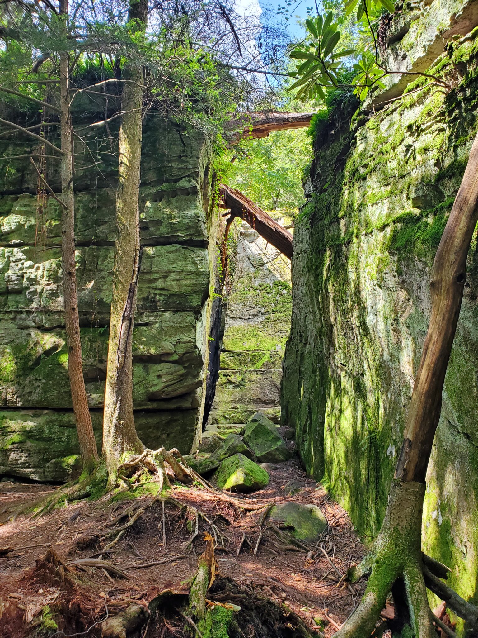 A Hike at Bilger's Rocks Some of the interesting rocks in the middle of ...