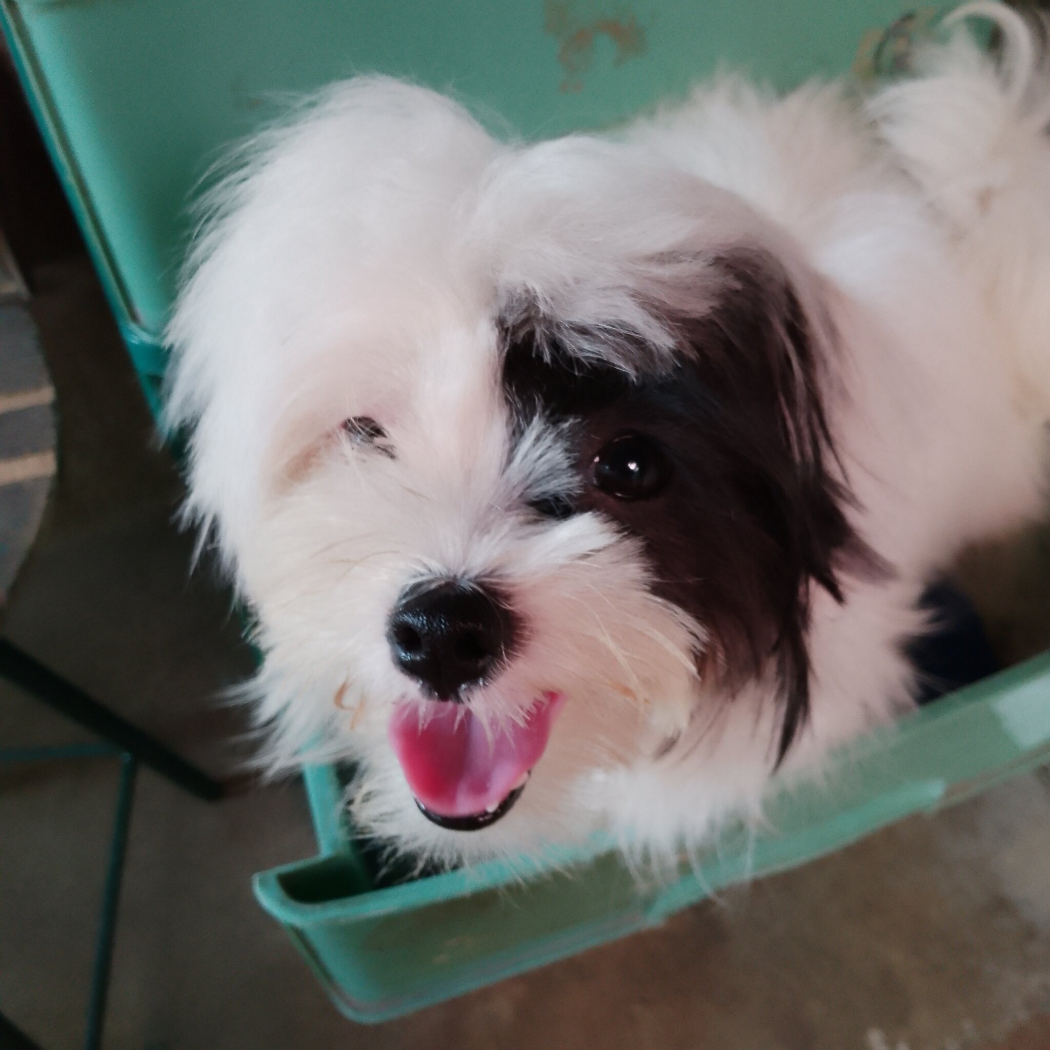 Kathaclysm | SimilarWorlds