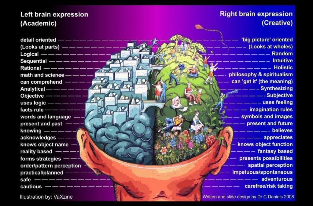 Do you believe that this commonly taught left brain vs right brain idea ...