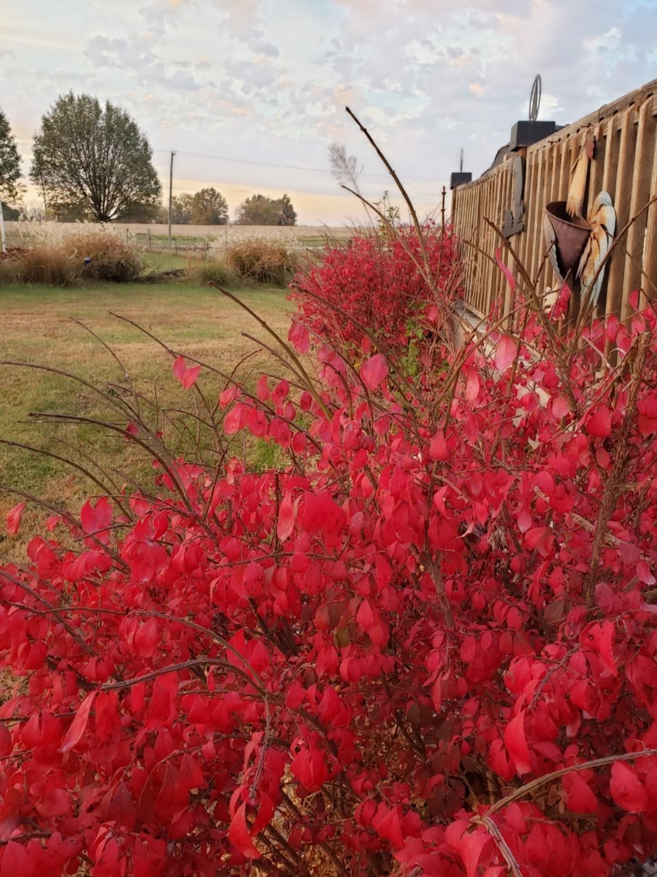 What is your current view you are enjoying? Or not enjoying at the ...