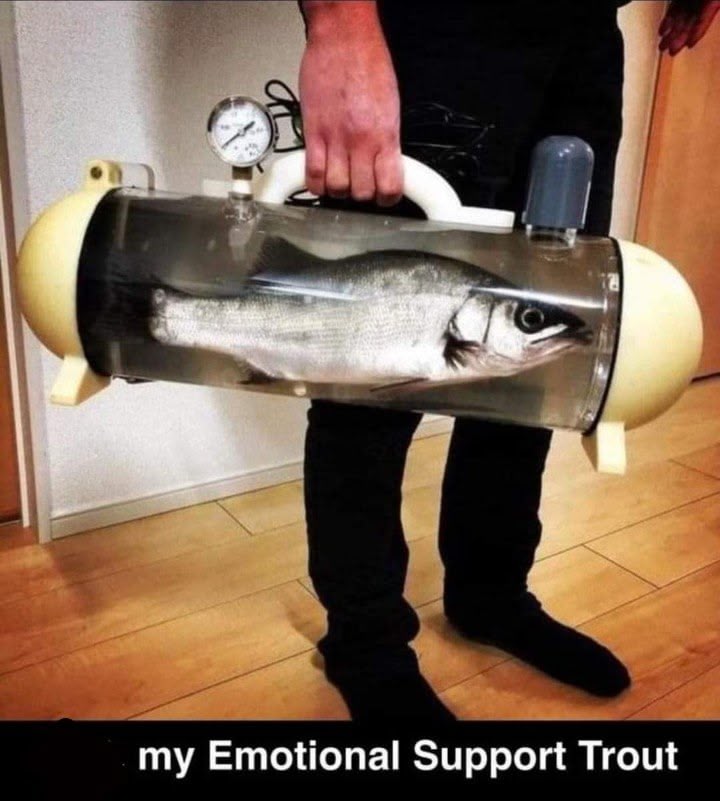 Why do you doubt that I'm out and about with my trout? Something Smells ...