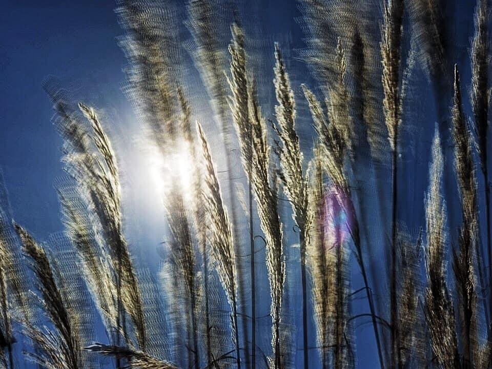 I like photography From a few years ago. Shot with a slow shutter app ...