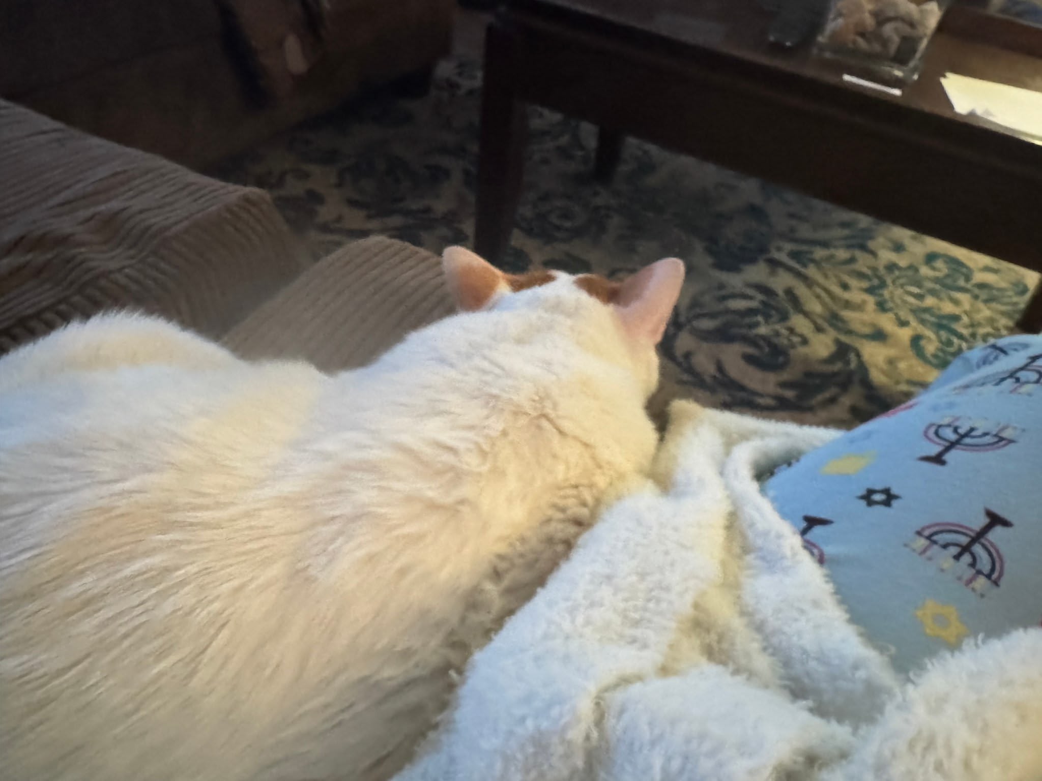 Negim got mad at me this morning When I pretend cried after he did a ...