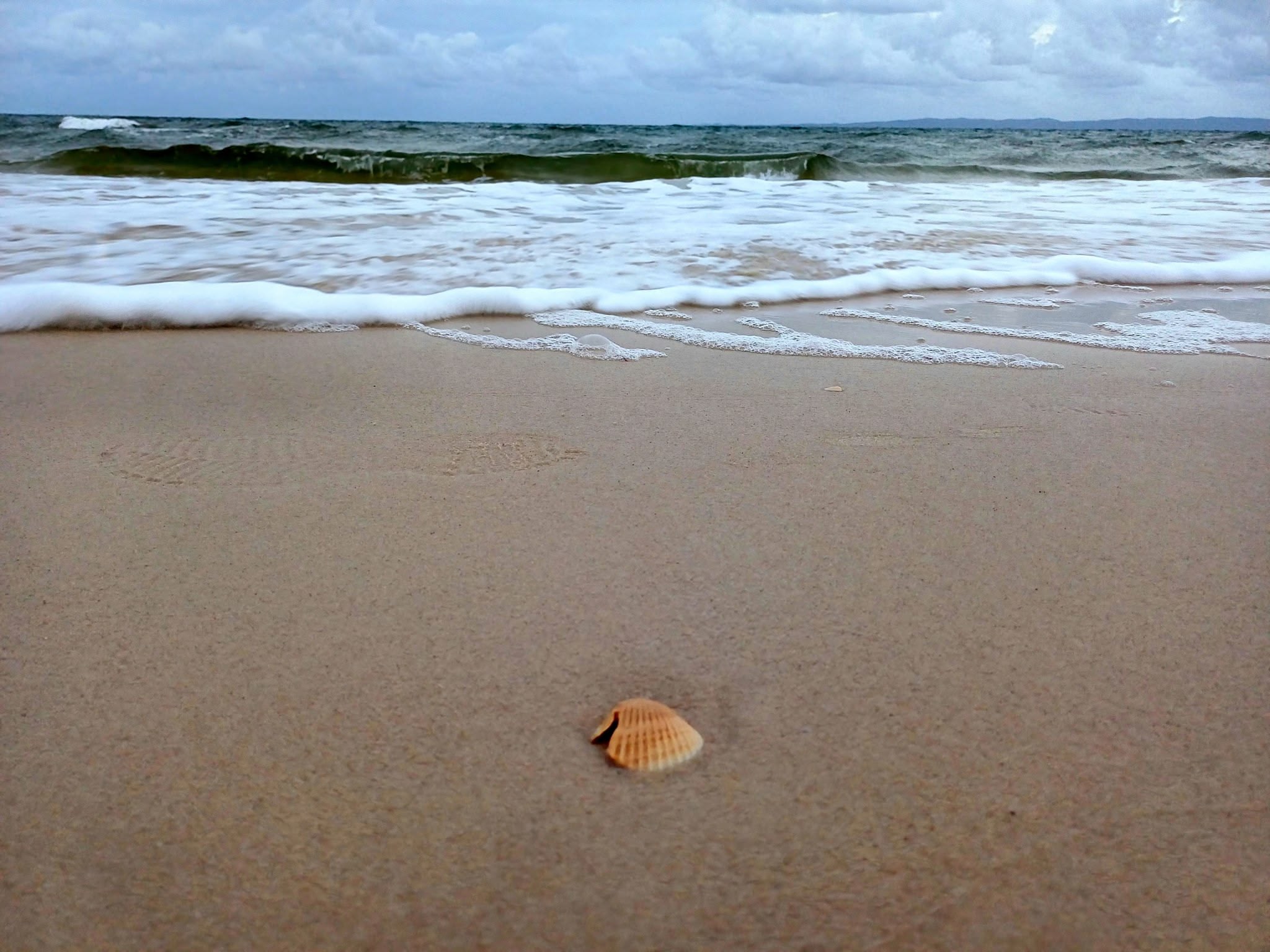 Of sand and seashell | Beach