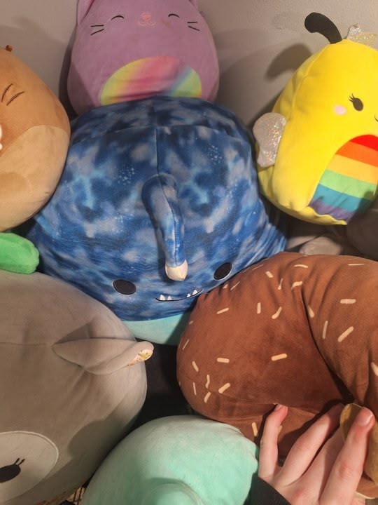 Apollo out here tempting fate. 😂 | Pets