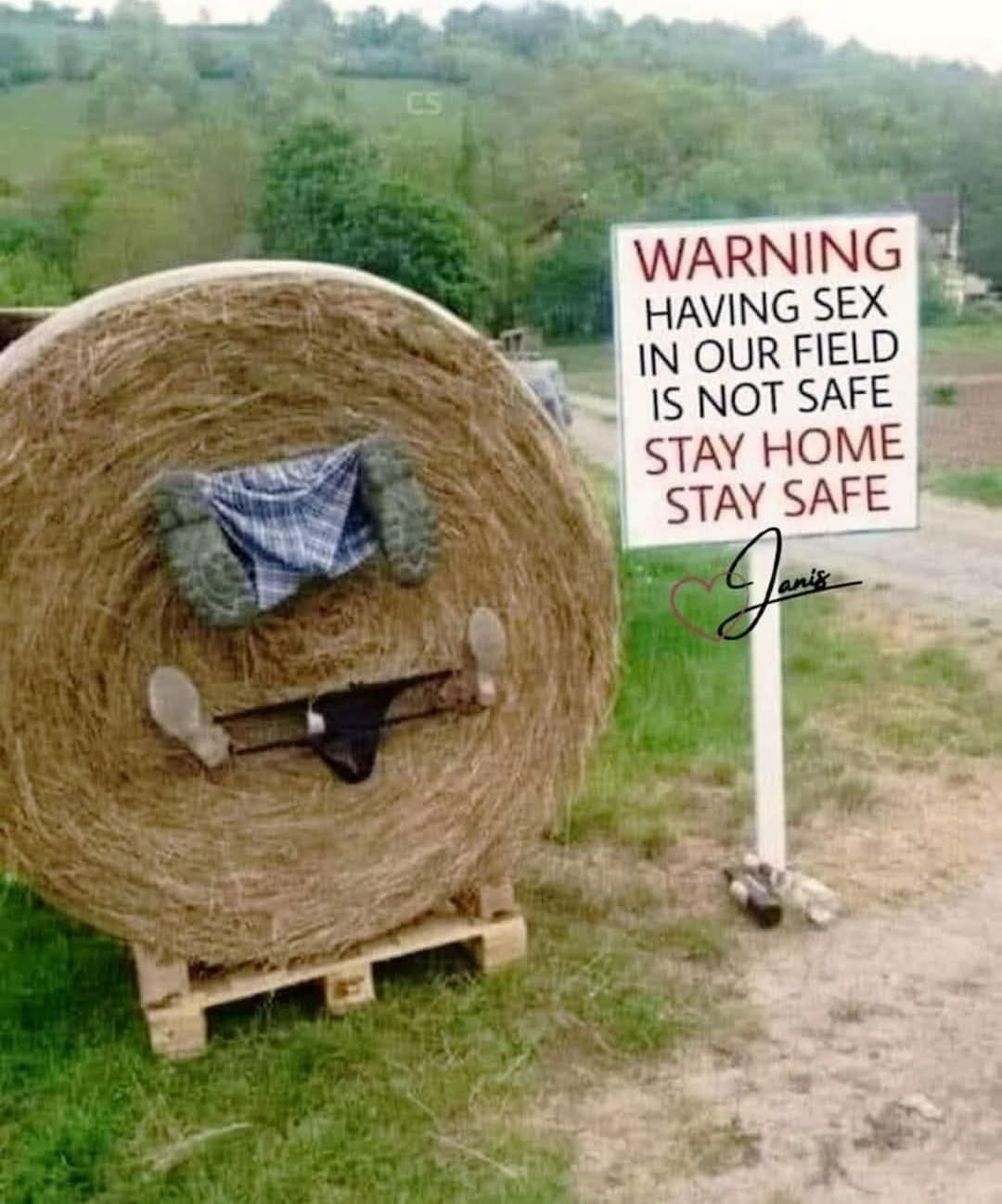 A roll in the hay | Candy cane jokes