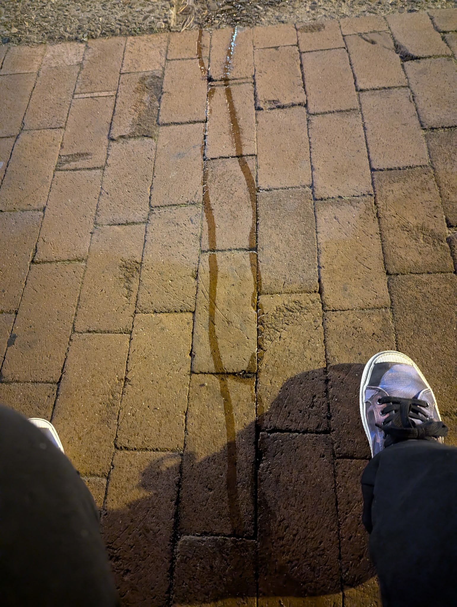 Imagining peeing on the floor | Pee