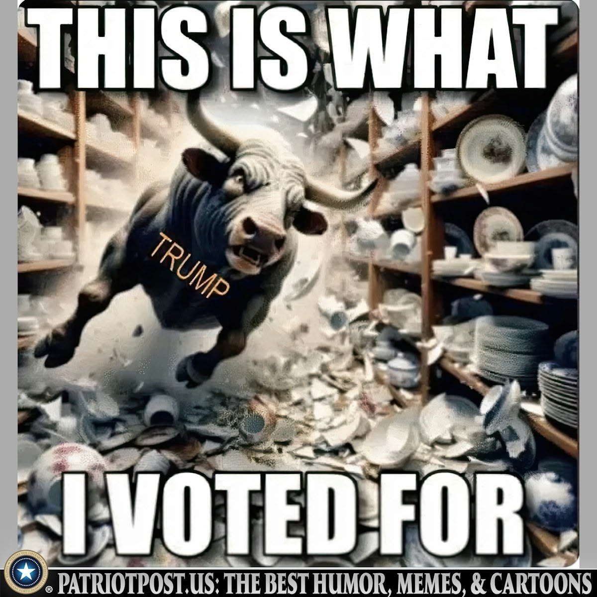 Yeah, Baby!!! WE bad!!! WE BAD!!!! 👍🏻👍🏻👍🏻 | Jokes