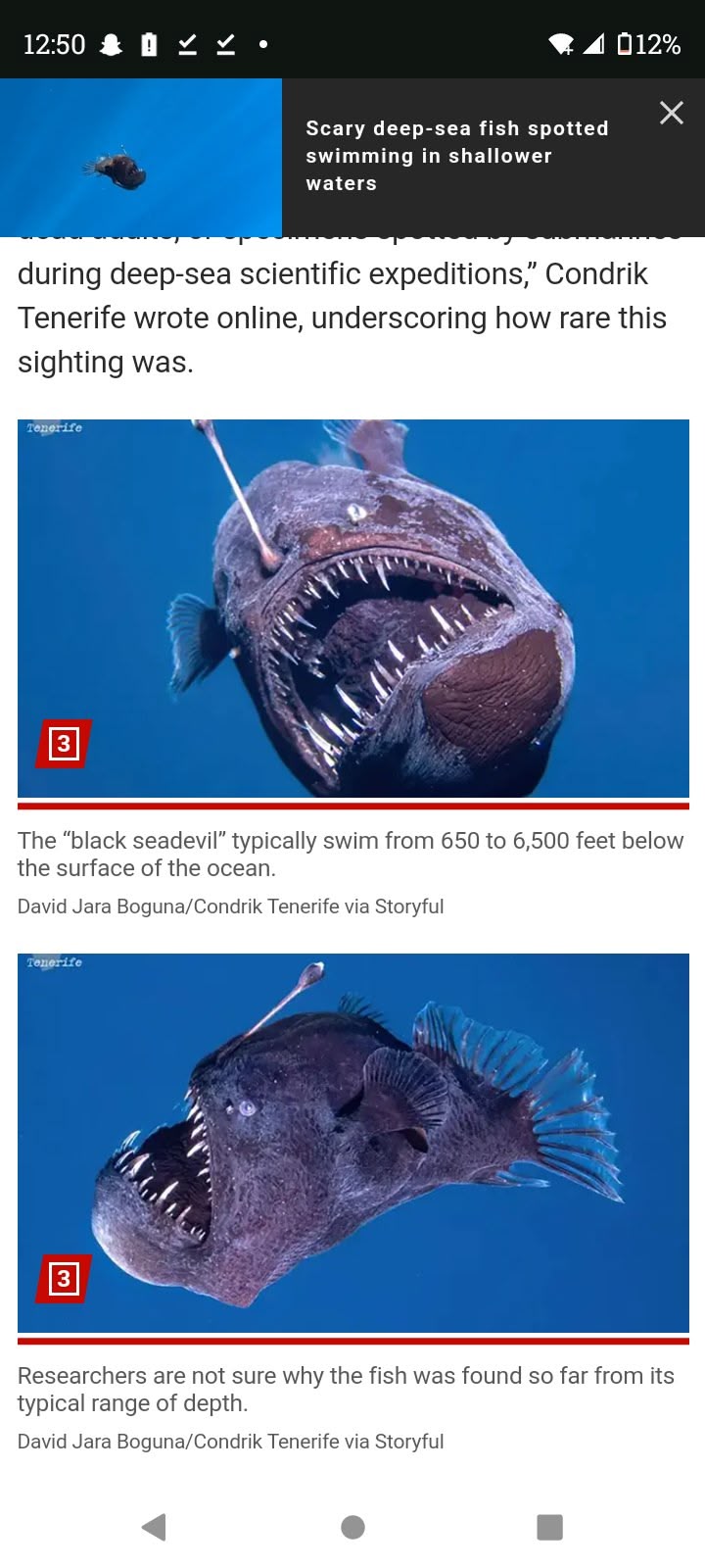 If this isn't the most terrifying fish in existence..... | Trauma