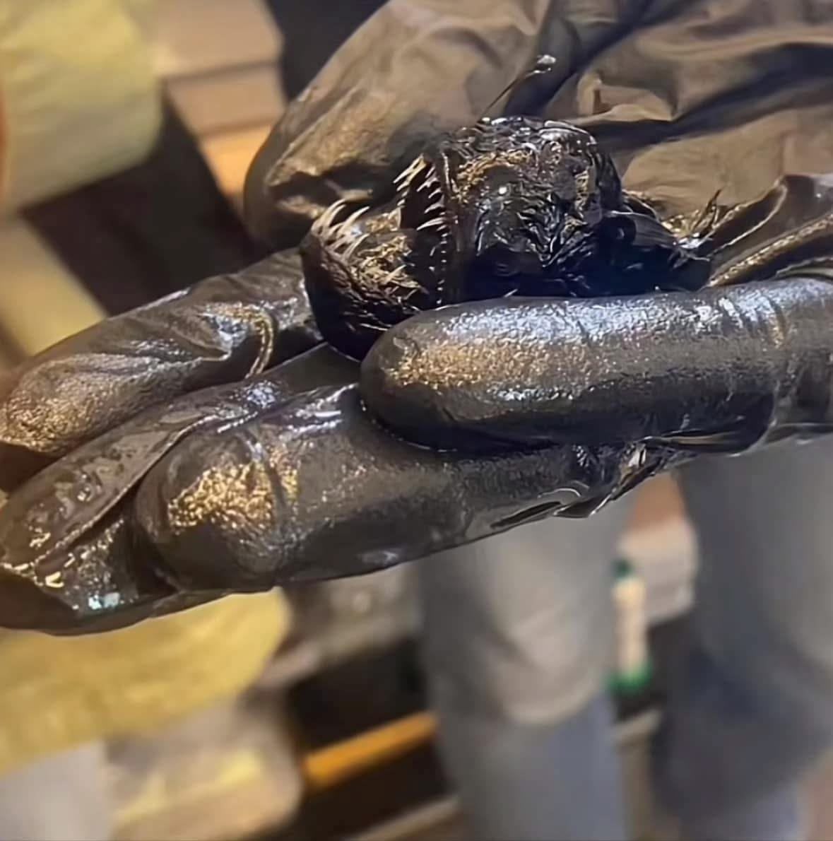 Yoo! I thought this fella was huge. 😥 Imagine how many huge fish she ...