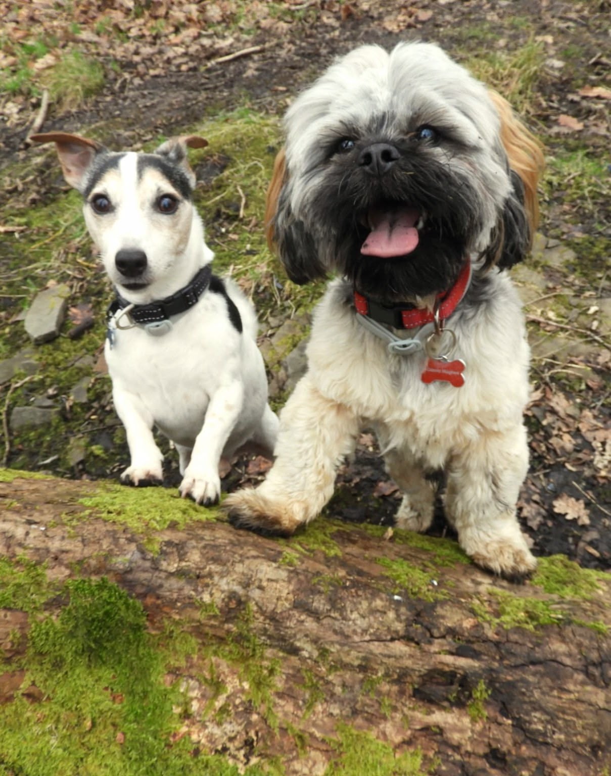 Making the most of the clement weather and enjoying their company ...