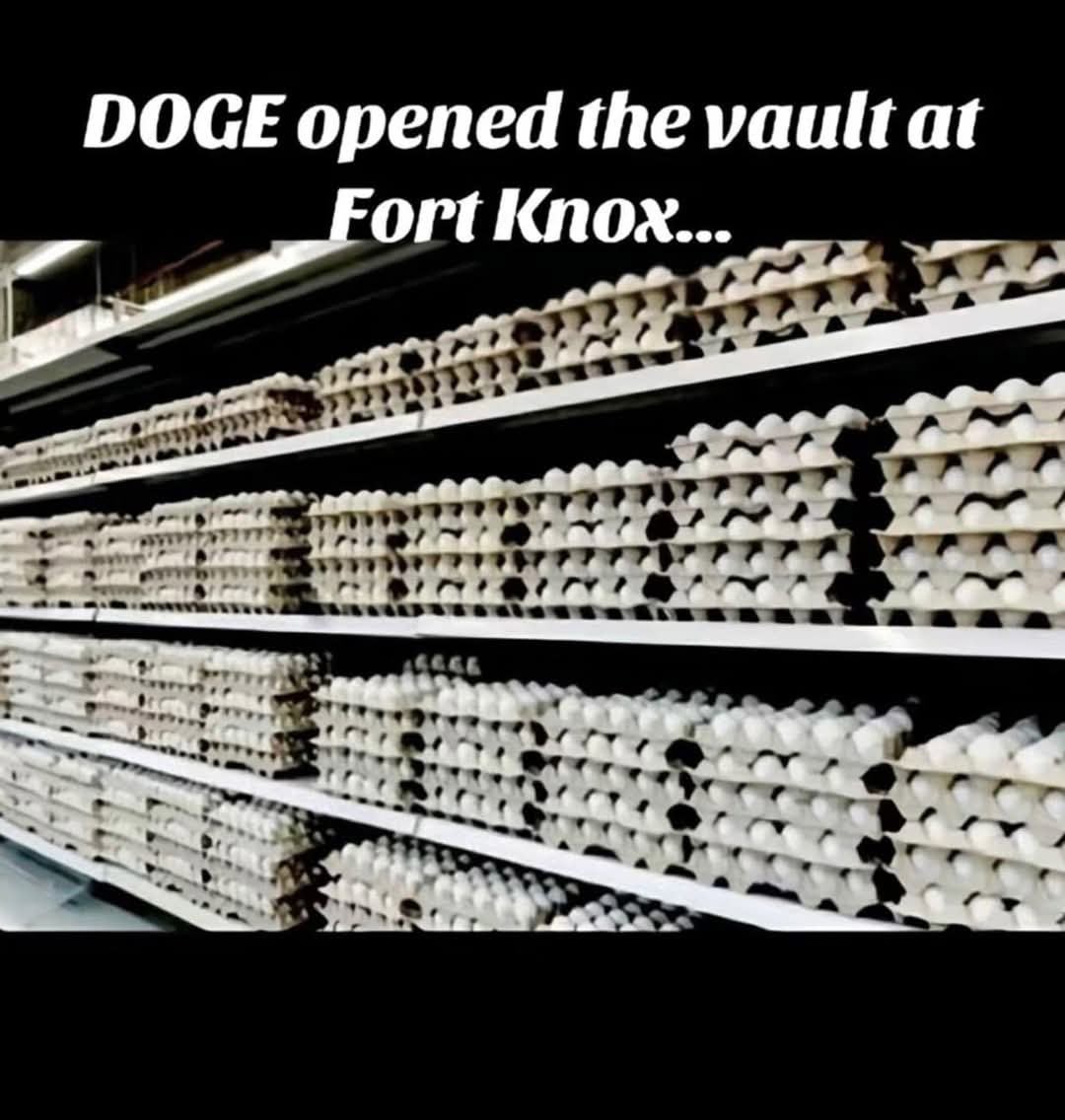 Look What Trump And Elon Found Inside Fort Knox It's all making sense ...