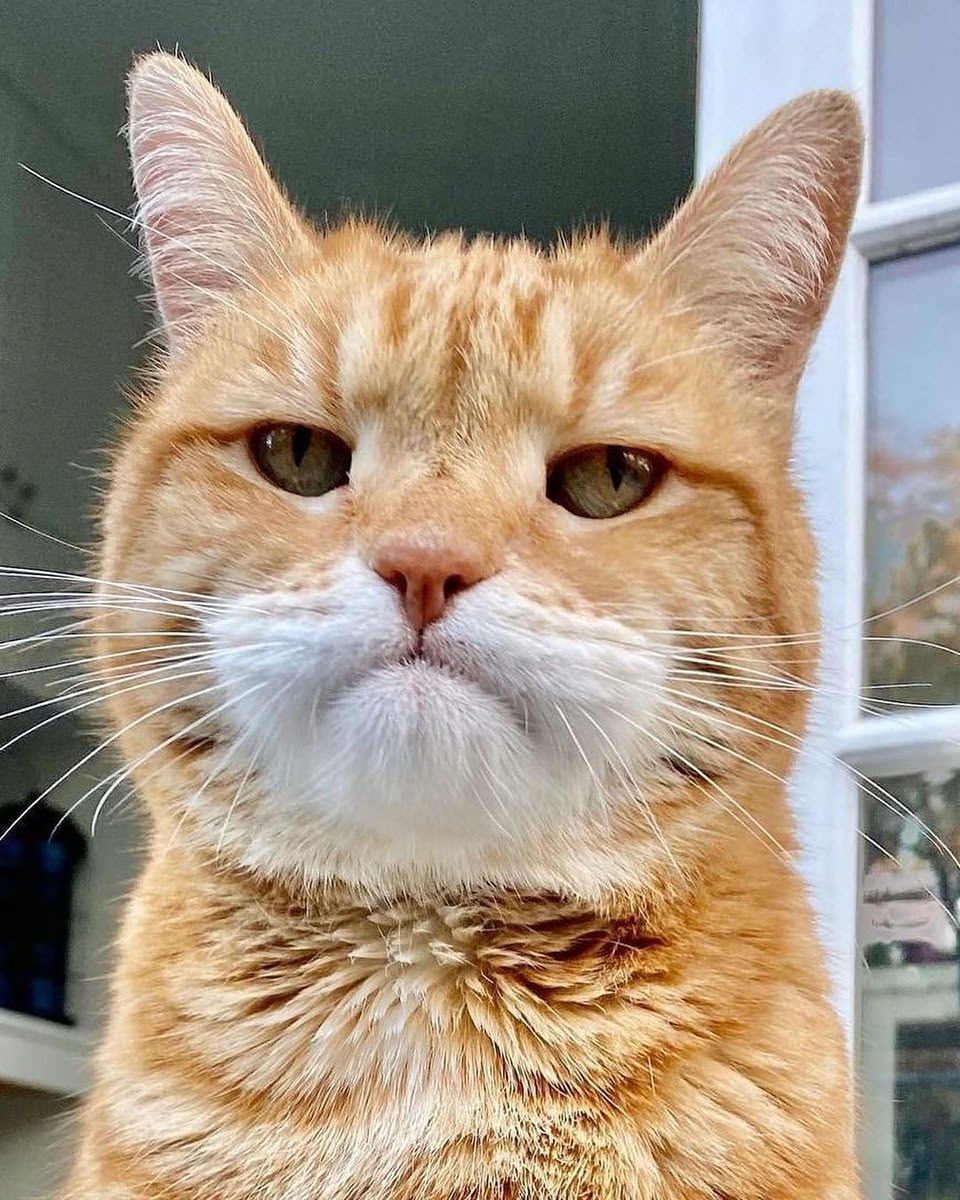 I'm a hundred different people from one day to the next | Weird People ...