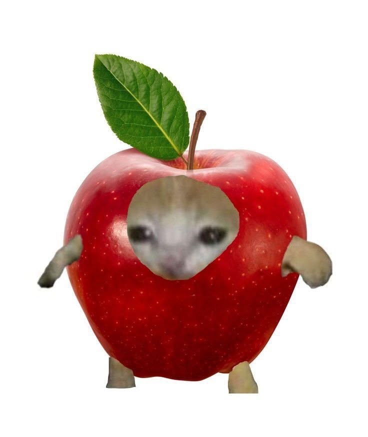This is a watermelon. If you see an apple, it's because you love me. 🥹 ...