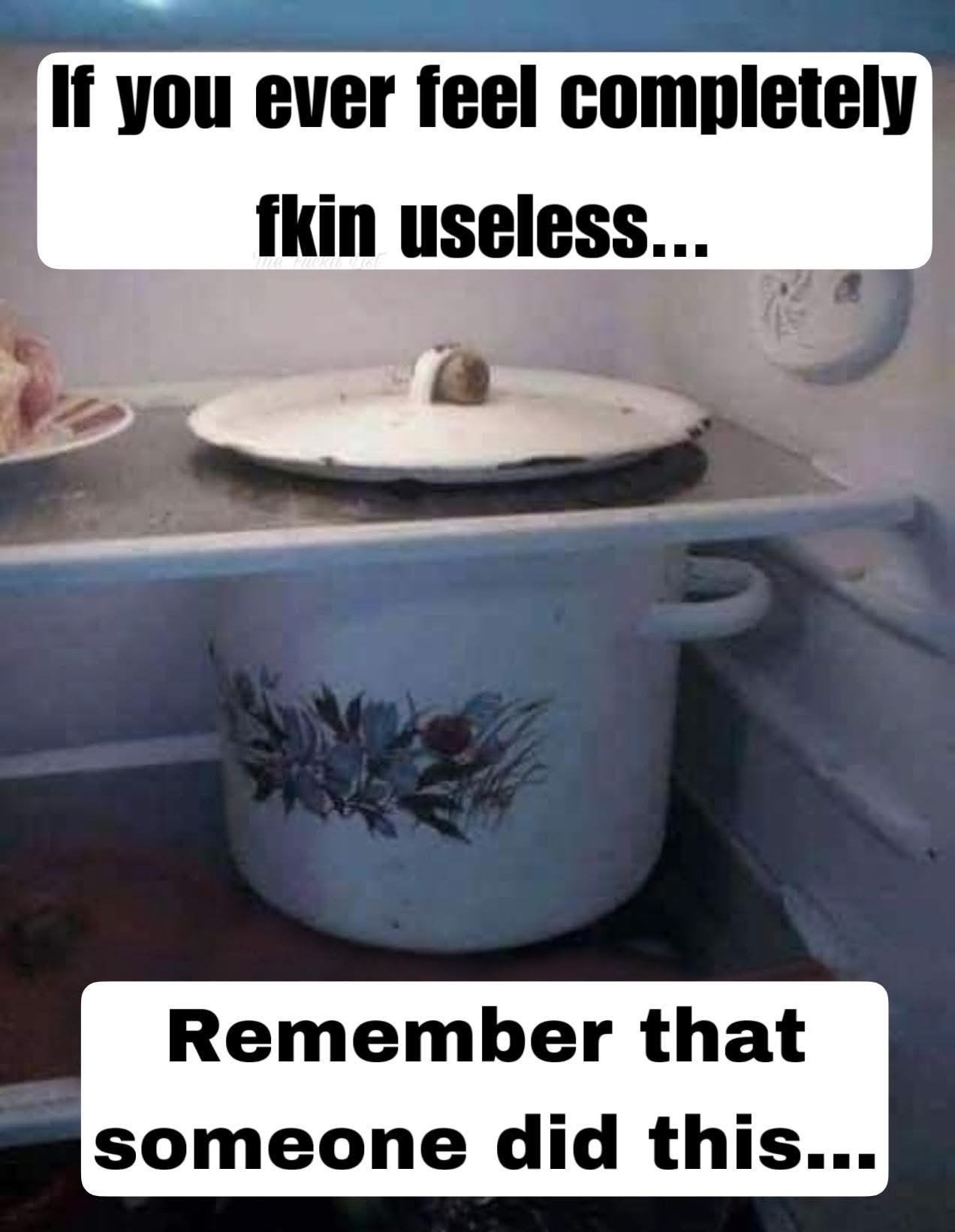 If you feel useless… | Sense of Humor