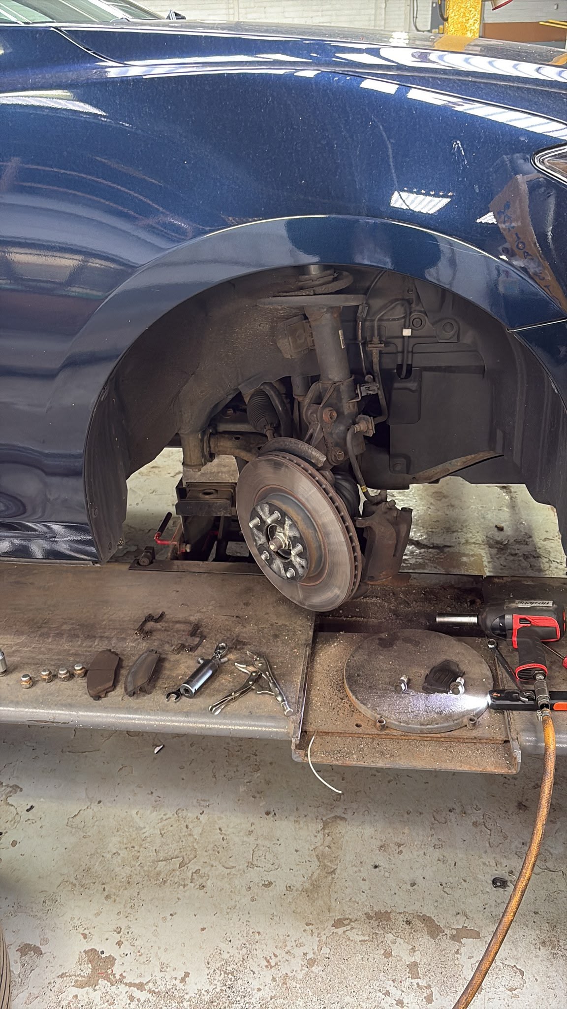 Cars cars bloody cars Poor little Mazzy. She’s got a poorly brake pad ...