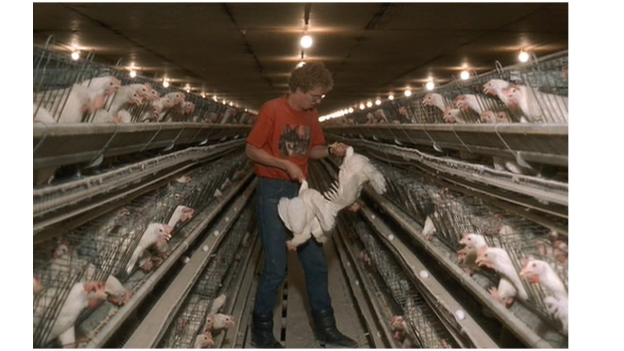 Make Alabama Great Again! Trump rumored to soon announce tariffs on ...