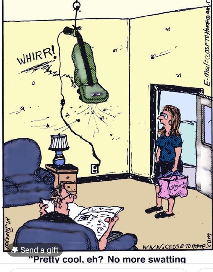 Bug zapper | Candy cane jokes