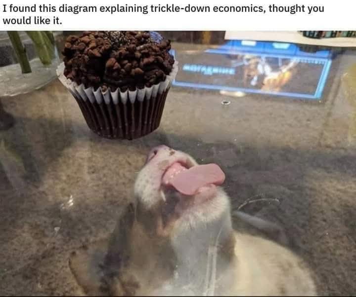 The perfect meme to describe trickle down economics | Politics