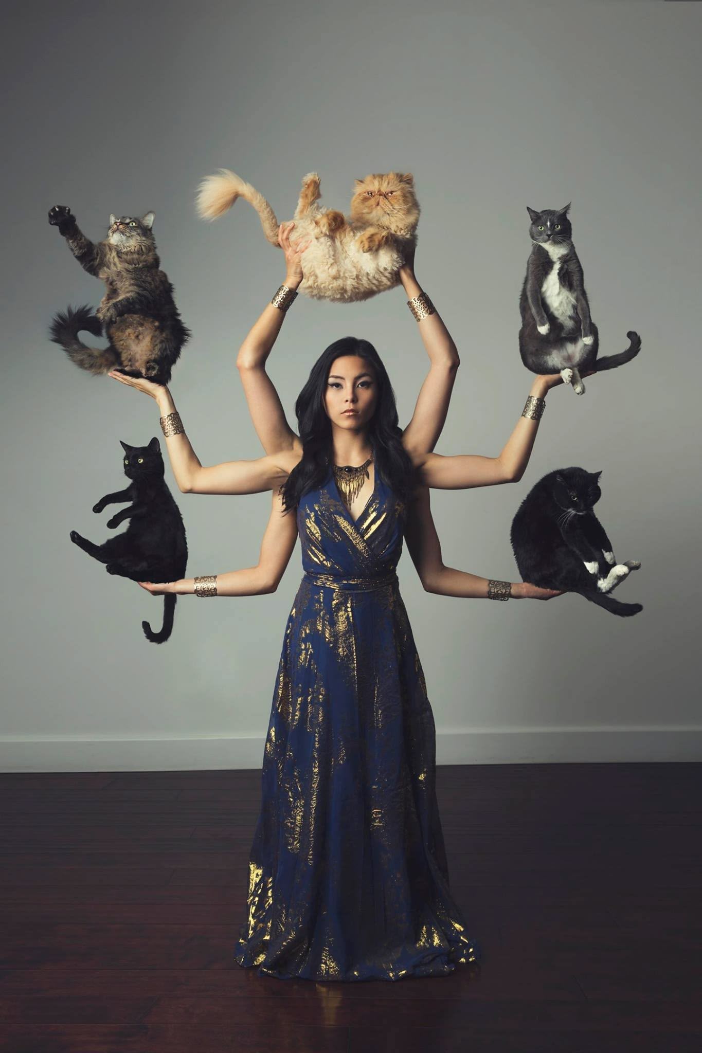 You, too can be a cat goddess! | Cats