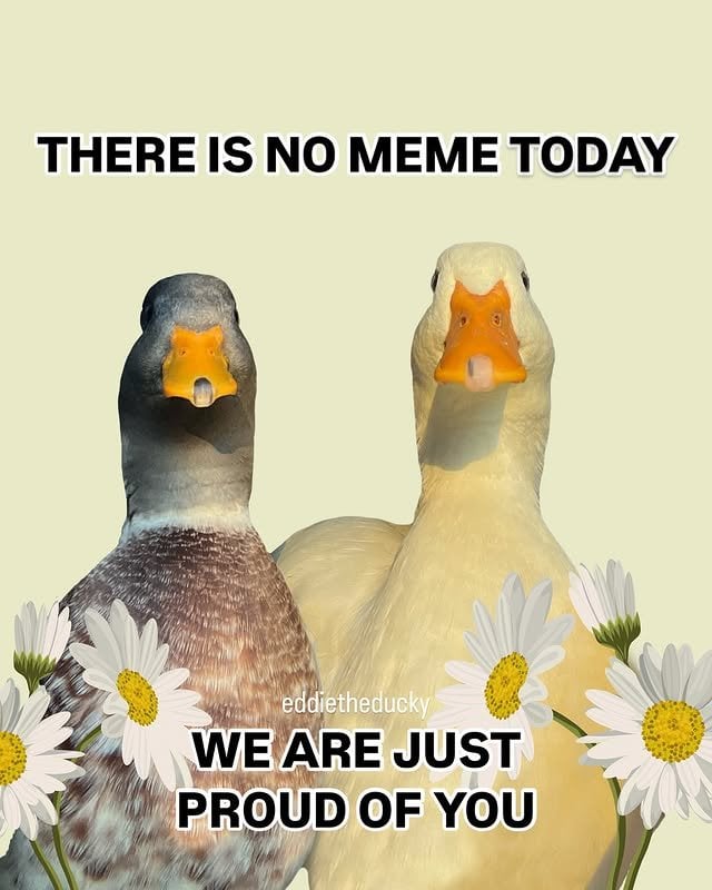 Duck meme of the day? | Ducks