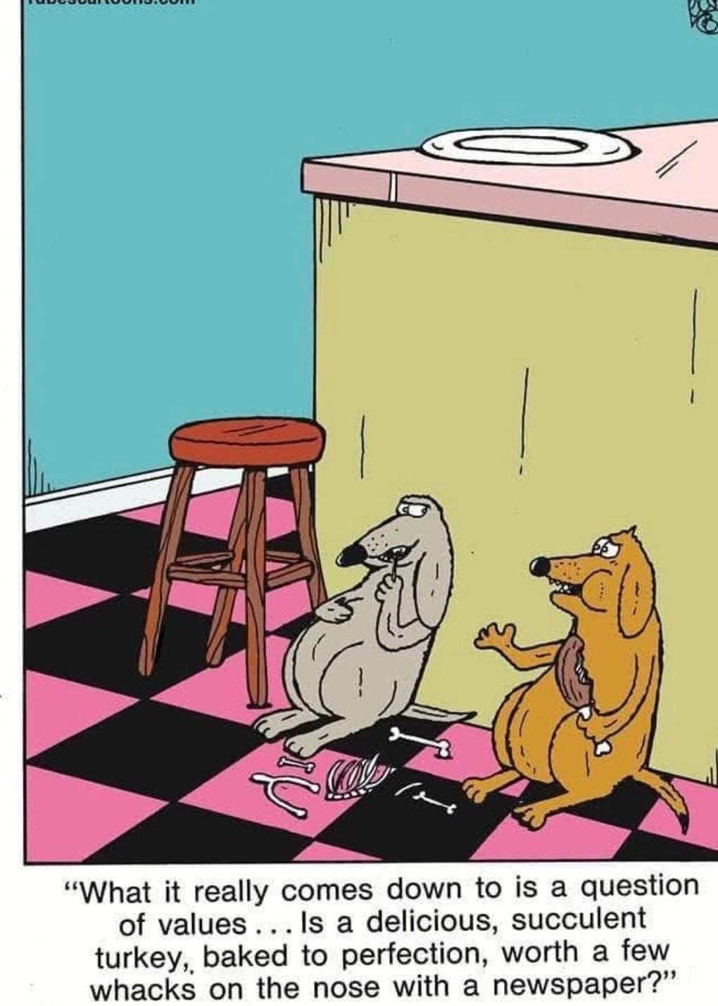 How dogs think | Dogs