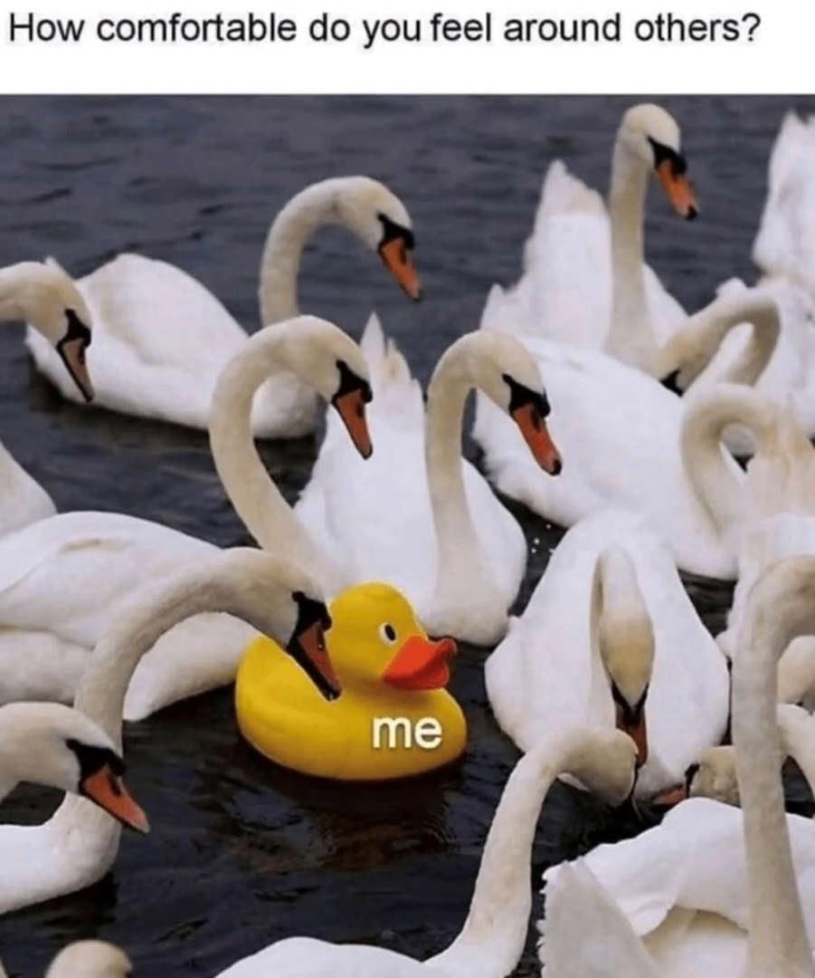 Another relatable introvert meme | Introverts