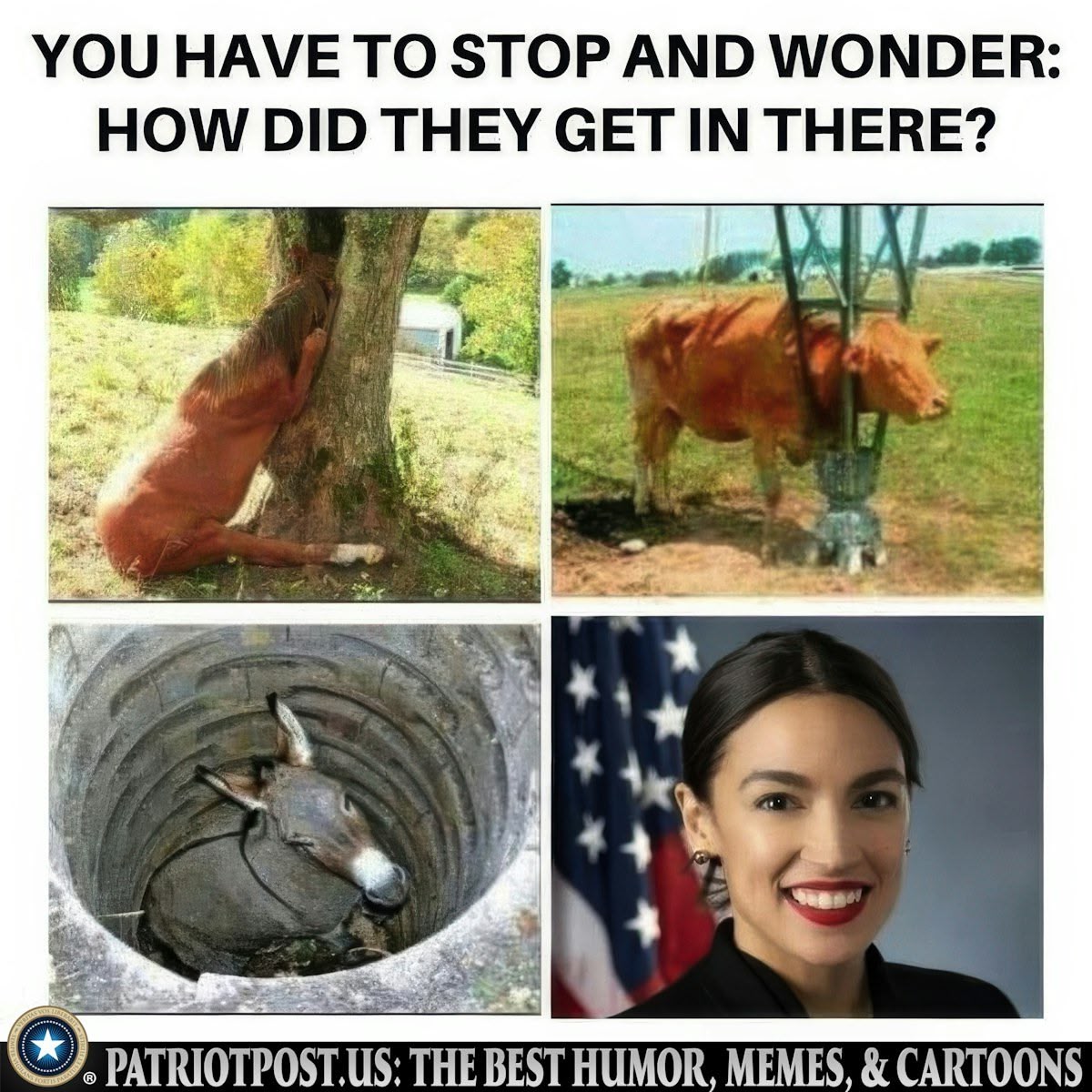 I am so puzzled... :D :D :D 🤣🤣🤣 | Jokes