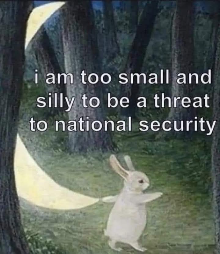 I am way too small and silly | Memes