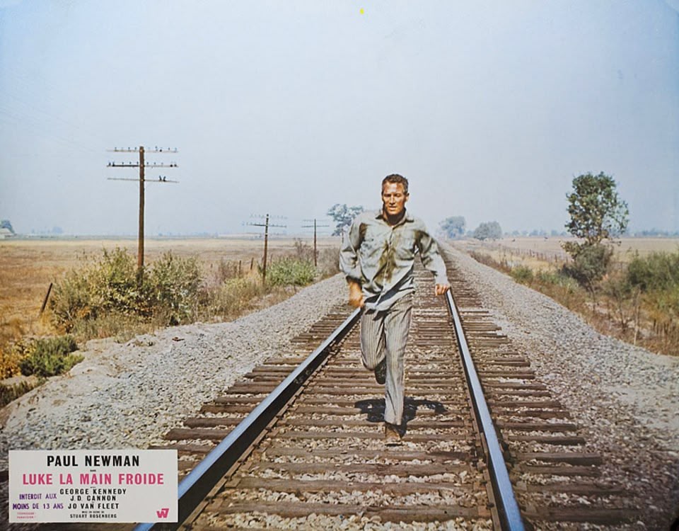 Wow . . . Alligator Alcatraz isn’t even open yet, and they’re already ...