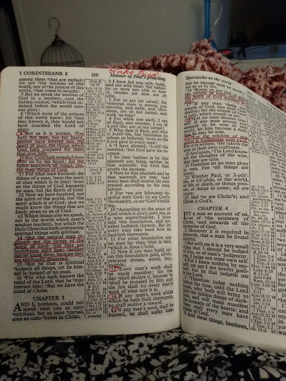Let's see them! Pics! What does your bible look like? Mine is a bit ...