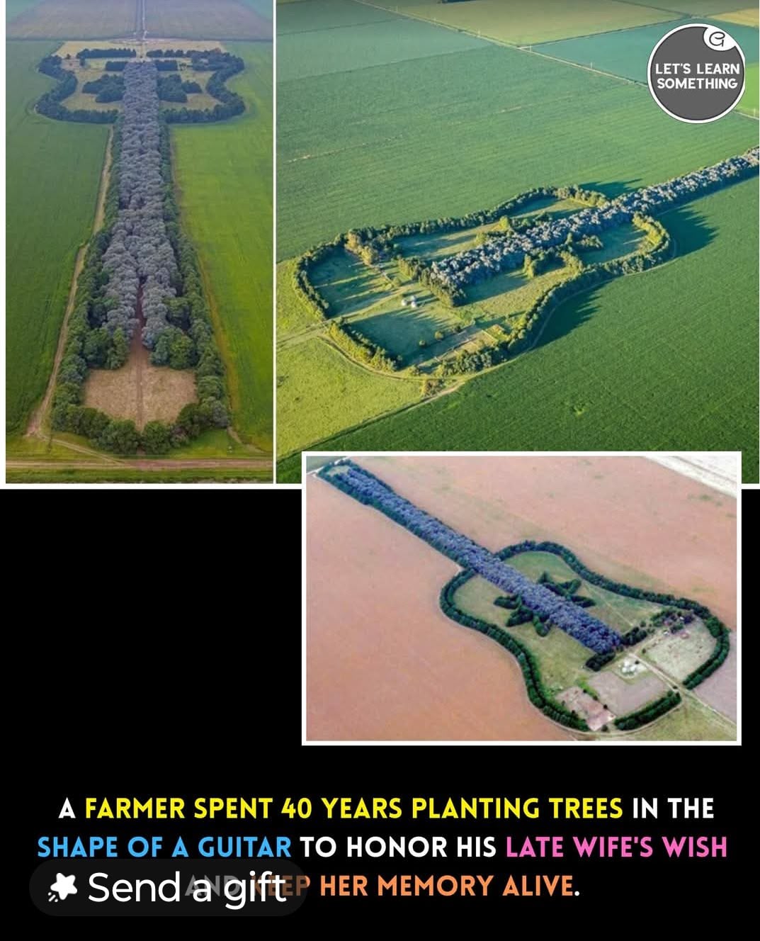 While my guitar gently weeps In the late 1970s, Pedro Martín Ureta ...