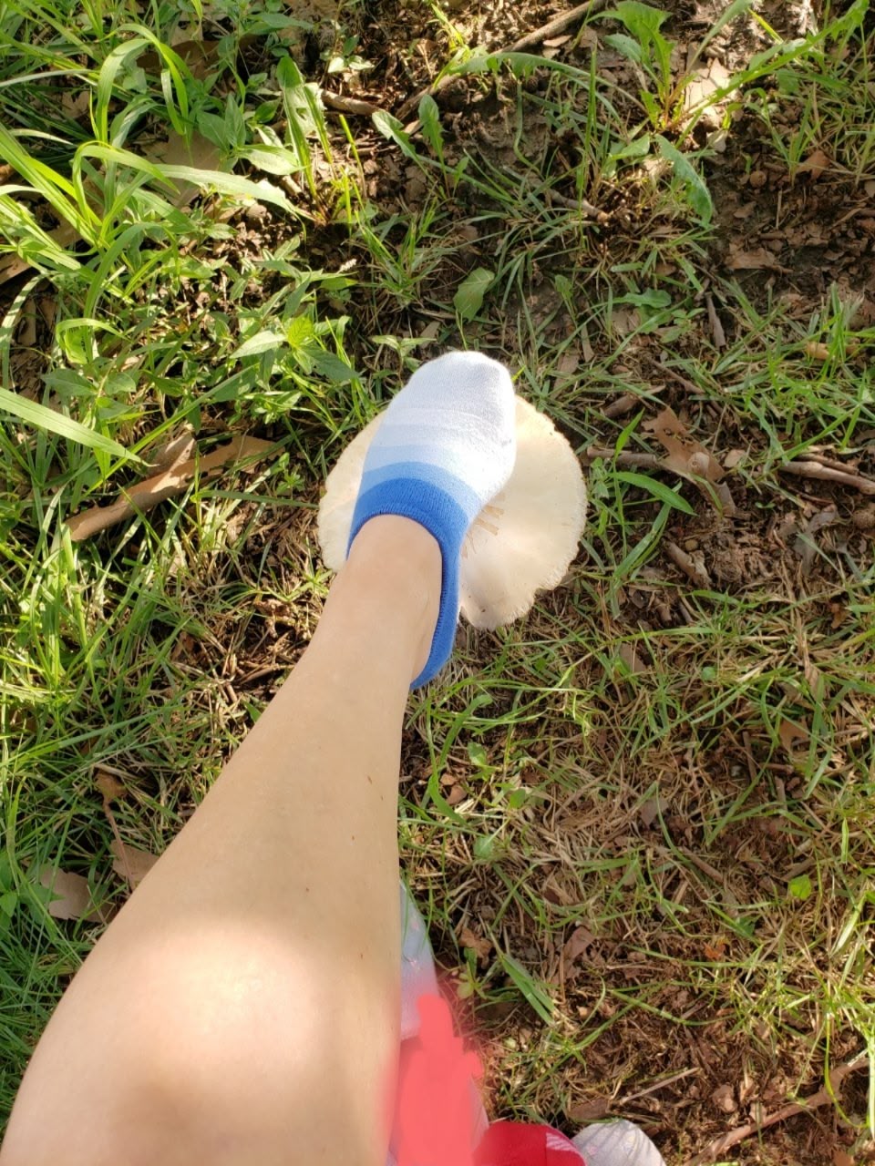 This sucker will be bigger than my foot tomorrow Haha, colored out ...
