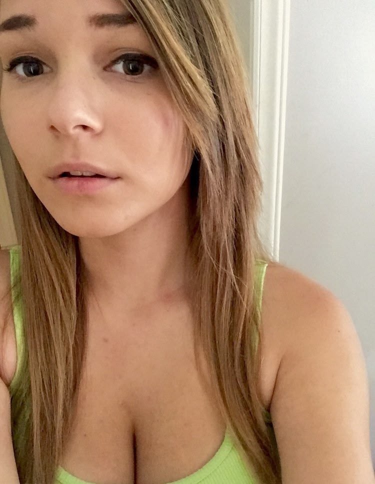 SlyFox | Photo (7133035) | SimilarWorlds