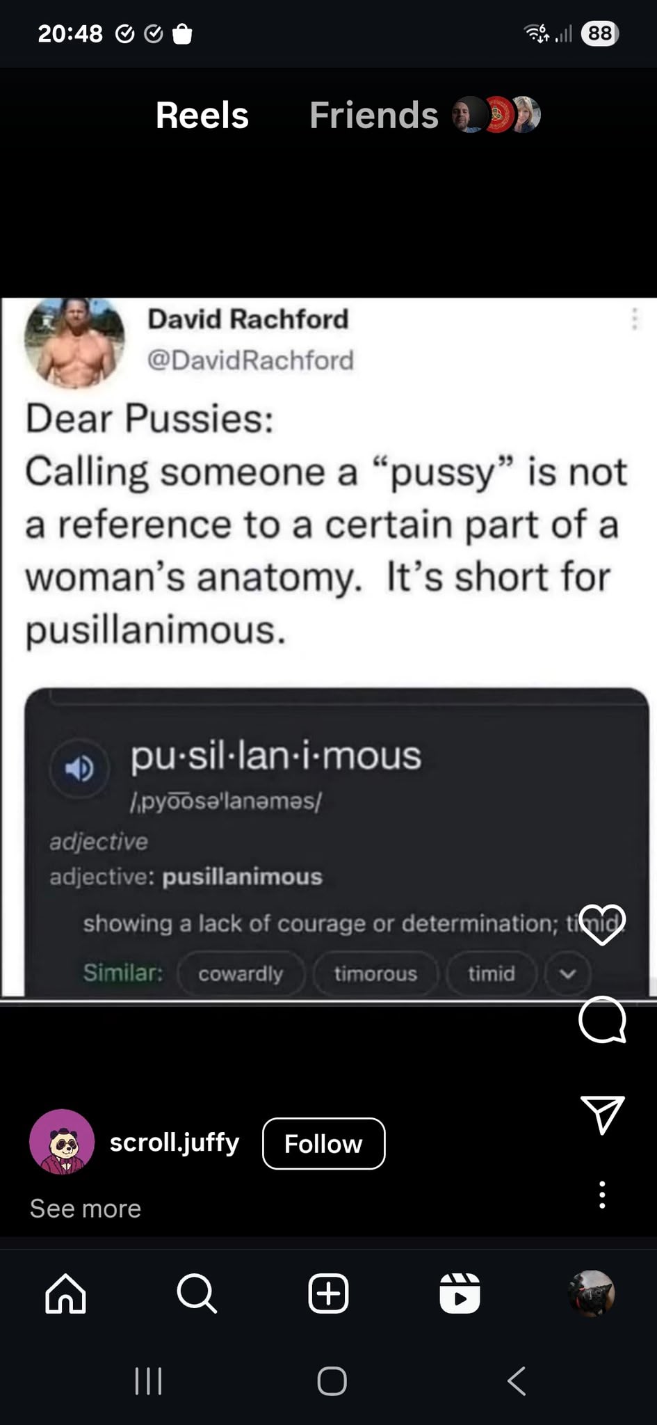Pusillanimous... FYI for those who didn't know | Internet
