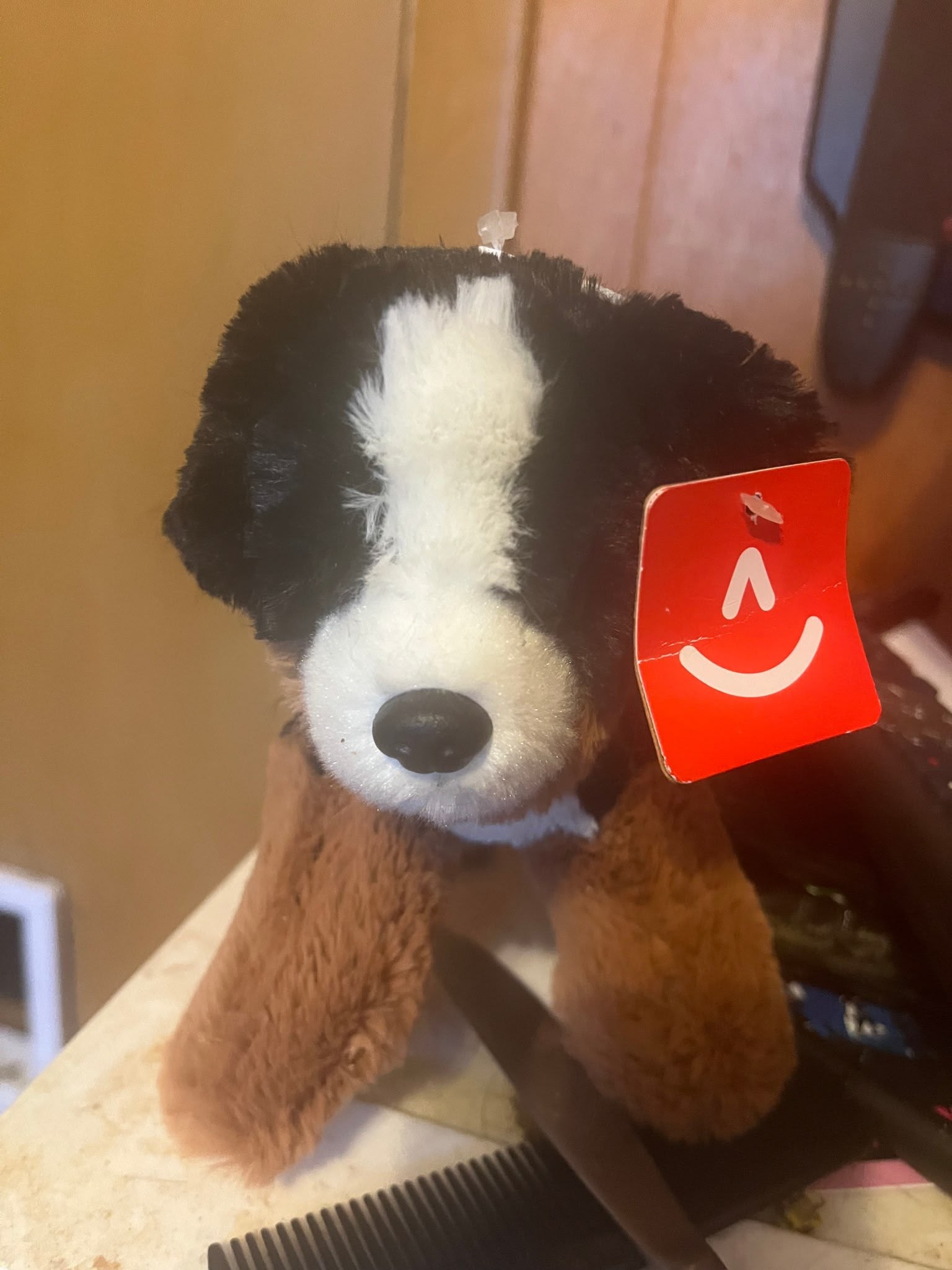 I need a name for him. | Dogs
