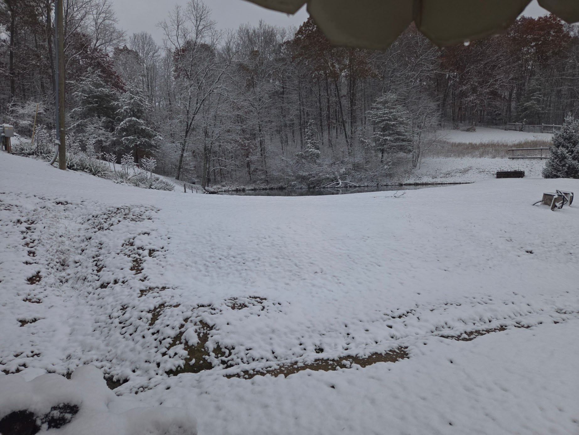 This morning as the first snow of the season stopped falling on my tiny ...