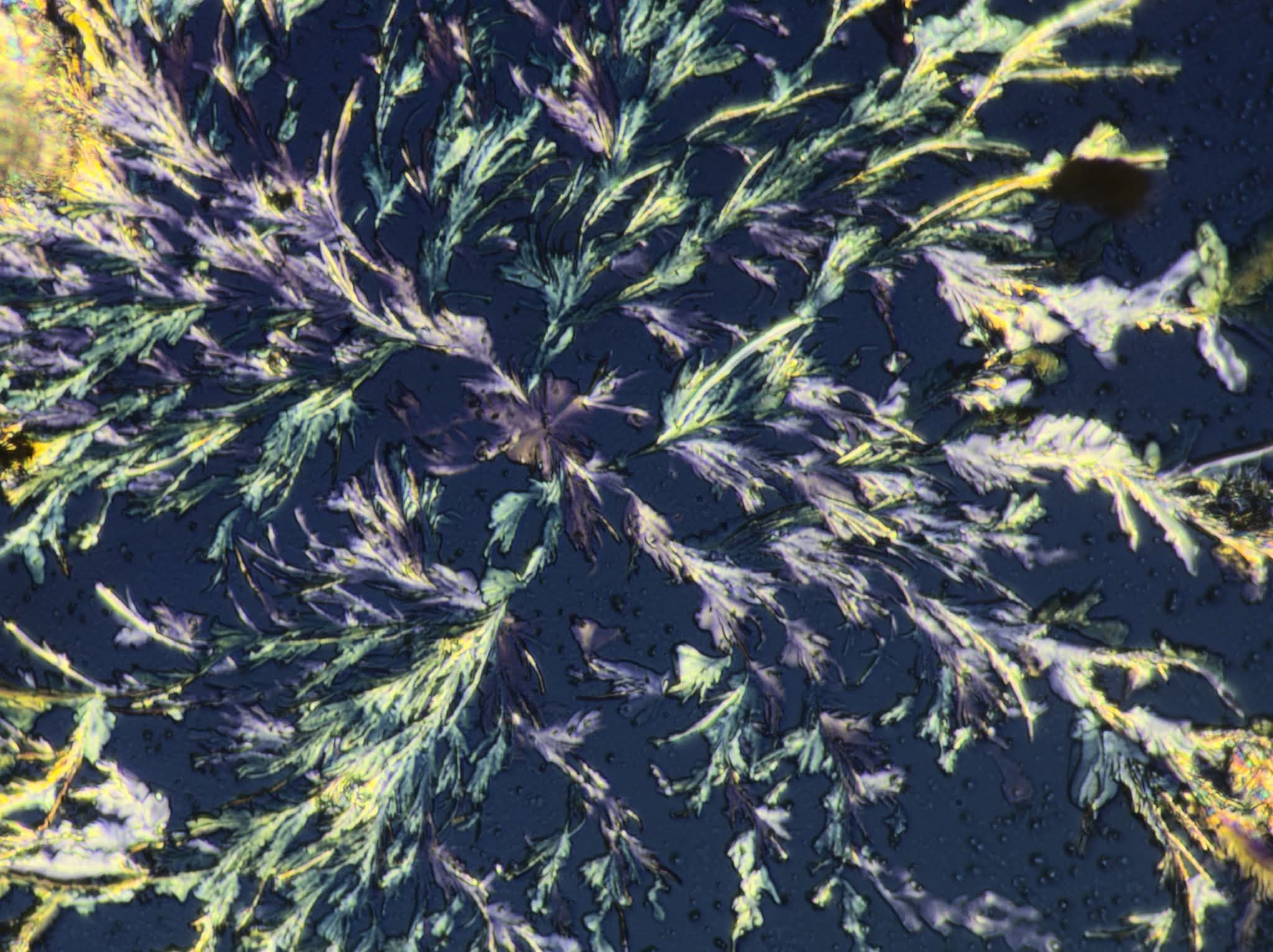 Vitamin C under microscope Vitamin C under polarized light. 3 sets ...