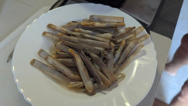 Another terrible day to be a mollusk | Homemade Food